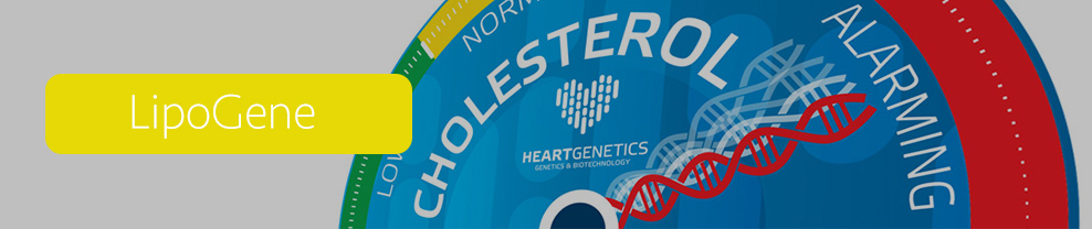 Cardiovascular Genetics | HeartGenetics, Genetics & Biotechnology